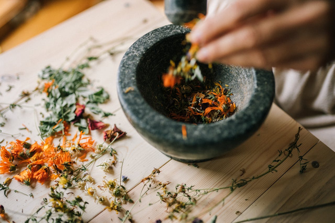 Plants That Help Heal - Heal Natural